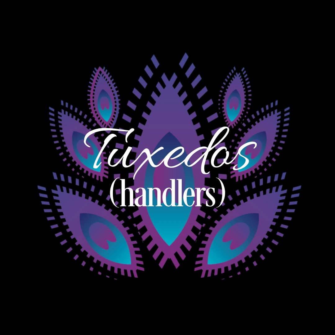 Tuxedos - Tutu Live Krewe